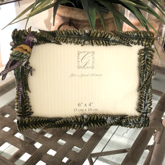 For a Good Memory | Accents | Picture Frame With Jeweled Parrot Palm ...